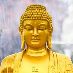 Download Religious Buddhism PFP