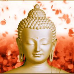 Download Religious Buddhism PFP