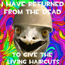 Download Misc Quote PFP