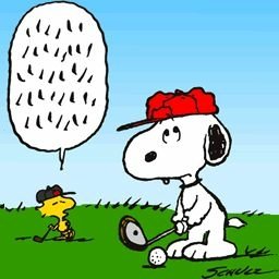 [60+] Peanuts PFP