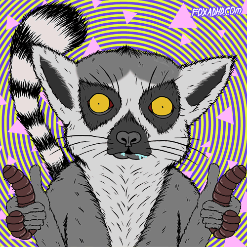 Download Animal Lemur PFP