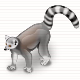 Download Animal Lemur PFP