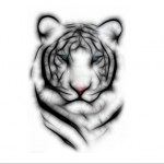 Tiger Pfp