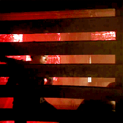 Download TV Show Teen Wolf PFP