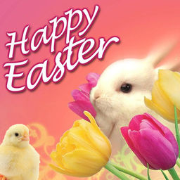Download Holiday Easter PFP