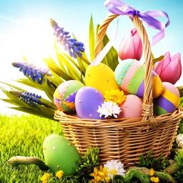 Download Holiday Easter PFP