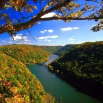 Download Nature Landscape PFP