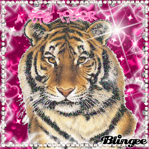 Download Glitter Tiger Animal PFP