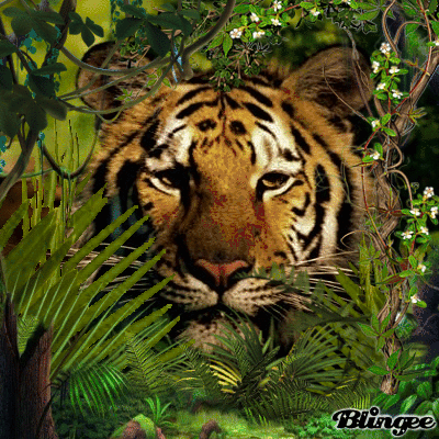 Download Fantasy Tiger PFP