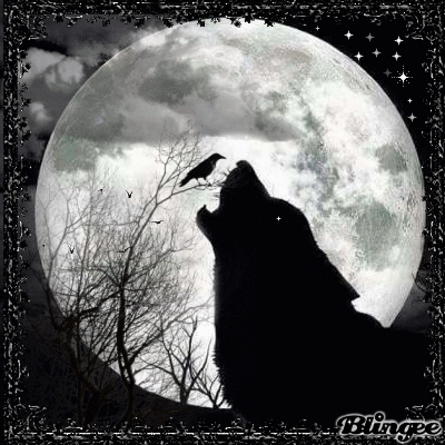 Download Glitter Fantasy Wolf PFP