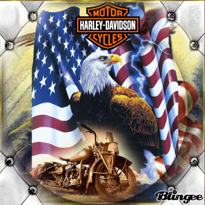 Harley-Davidson Pfp