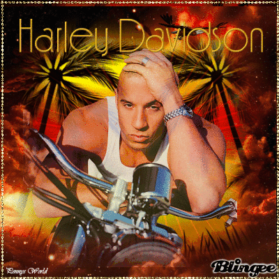Download Motorcycle Harley-Davidson Vehicle PFP