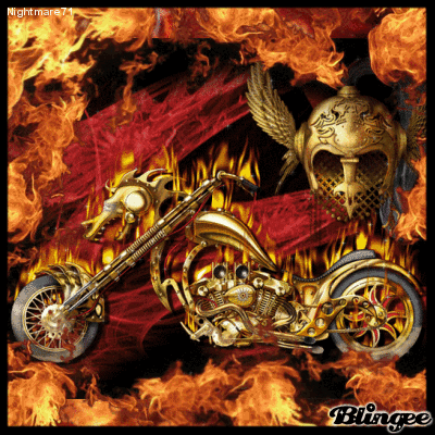 Download Motorcycle Harley-Davidson Vehicle PFP