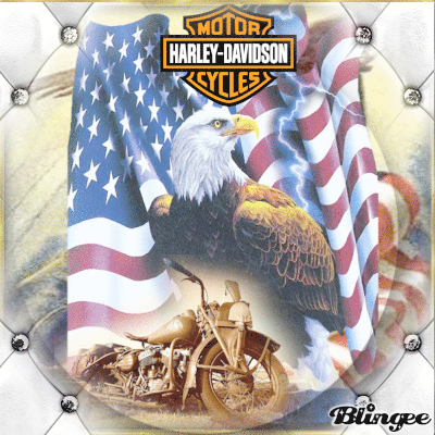 Download Motorcycle Harley-Davidson Vehicle PFP