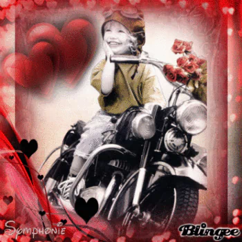 [10+] Harley-Davidson PFP