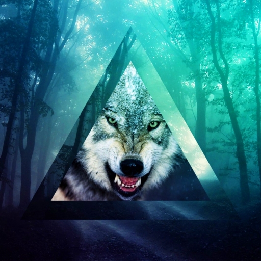 Download Animal Wolf PFP