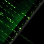 Download Technology Binary PFP