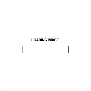 Loading PFP