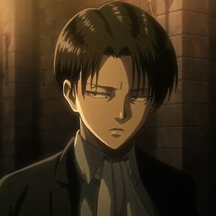 Levi Ackerman: Elite Titan Slayer Avatar
