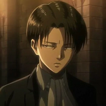 Levi Ackerman PFP