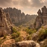 Download Nature Desert PFP