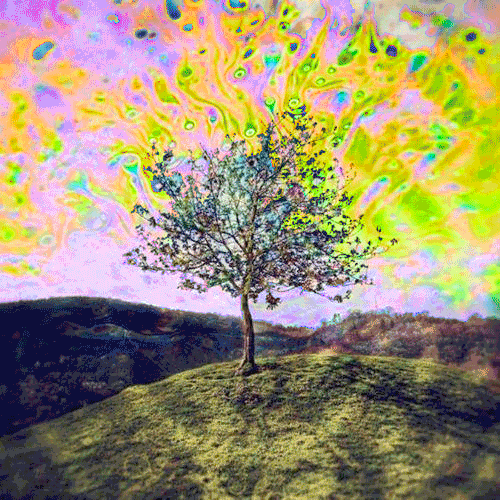 Download Artistic Psychedelic PFP