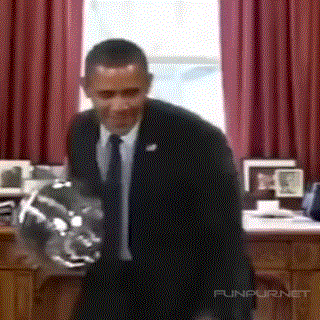 Download Dance Funny Humor United States American President USA Barack ...