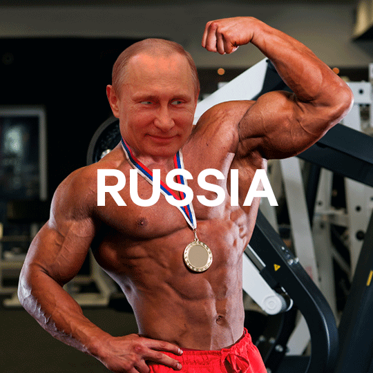 Download Funny Humor President Russia Vladimir Putin Celebrity PFP
