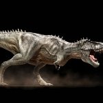 Download Animal Dinosaur PFP