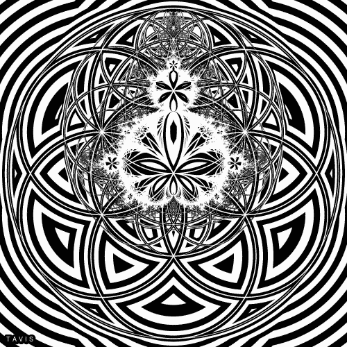 Fractal Pfp