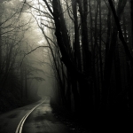 Download Nature Fog PFP