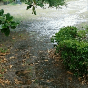 Download Photography Rain PFP