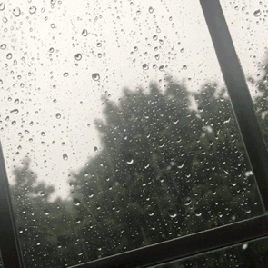 Download Water Drop Water Rain Photography PFP