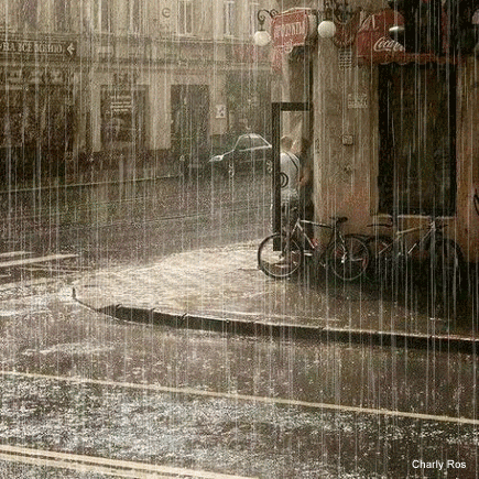 Download Photography Rain PFP