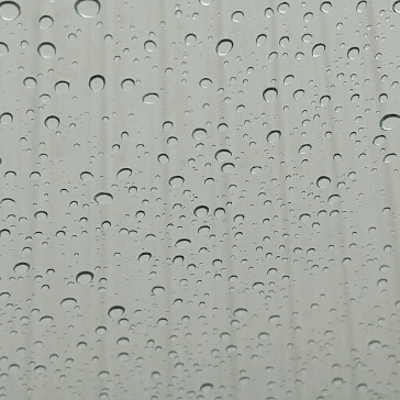 Download Photography Rain PFP